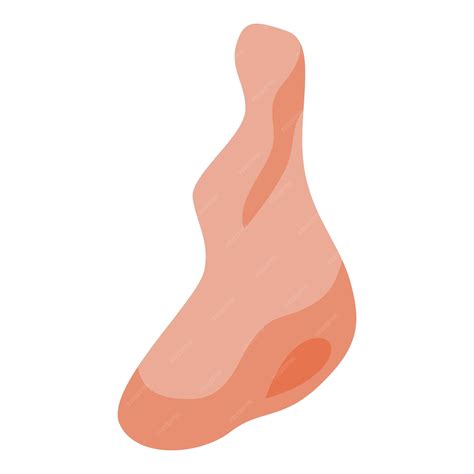 Premium Vector Nose Operation Icon Isometric Vector Plastic Surgery Face Bone