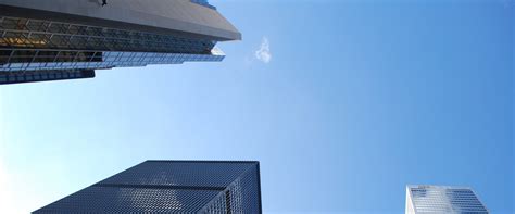 Itfc Training Consulting The Tree Of Knowledge