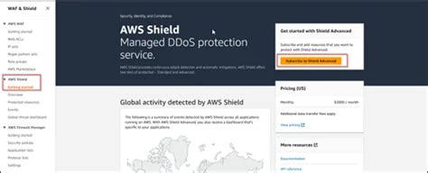Boost Availability And Manage Ddos Protection With Aws Shield