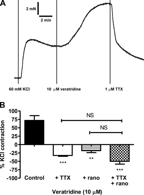 A Original Trace Showing Veratridine Contraction In The Presence Of
