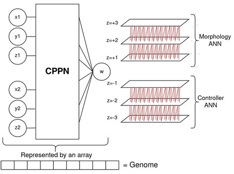 Genome Representation On The Left The CPPN Is Represented By An Array Download Scientific