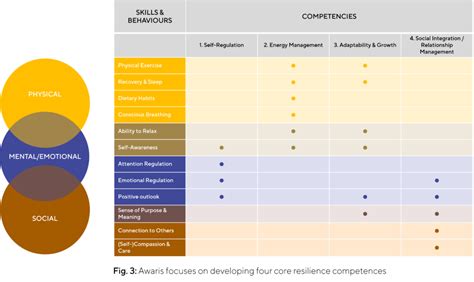 The Awaris Resilience Framework Awaris