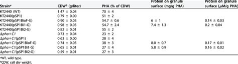Quantification Of Pha Production By Gc Ms And Determination Of Pha