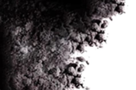 Sustainable Commodities And Supply Chain Solutions Galleries