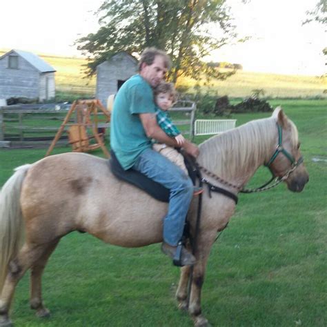 Aaron Angel Farrier Services Boone Ia