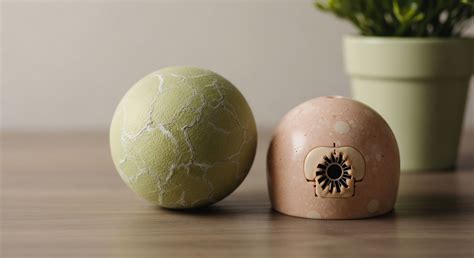 Holistic Life Alignment → Term