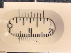 Solved 1 If There Is No Net Torque Acting On The System Chegg Com