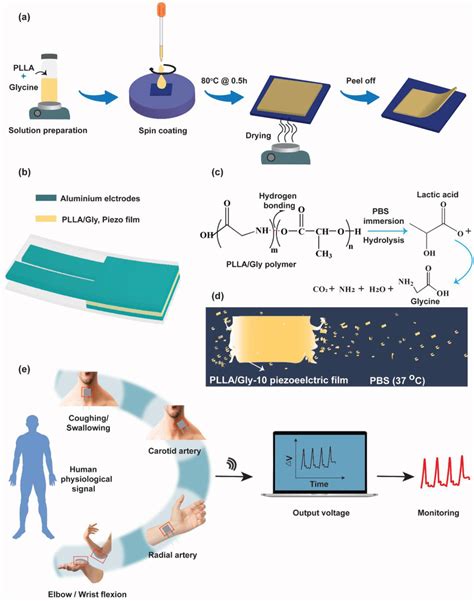 A Schematic Demonstration Of The Fabrication Process For Biodegradable Download Scientific