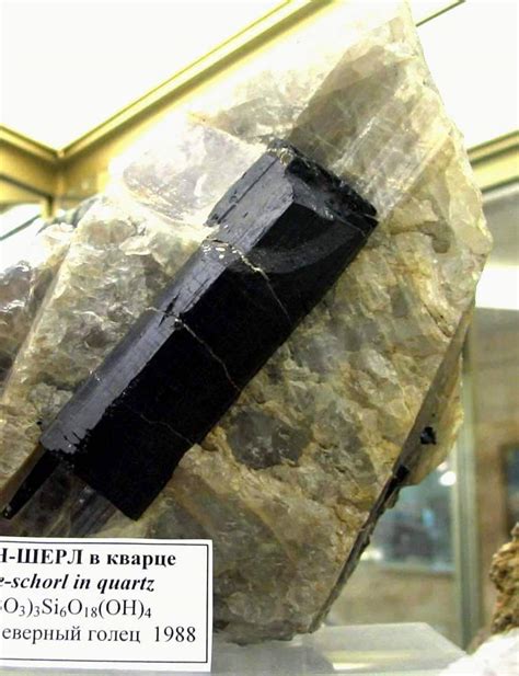 Шерлизбранные находки