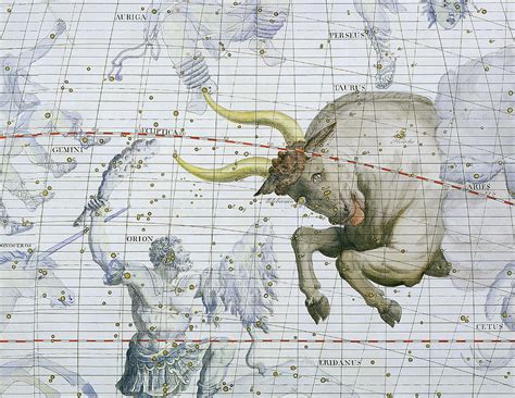 Constellation Of Taurus Painting By James Thornhill Fine Art America