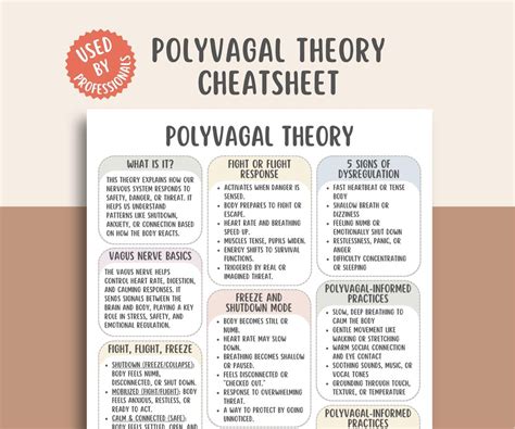 Polyvagal Theory Cheatsheet Vagus Nerve Regulation Chart Nervous