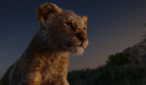 The Lion King Live Action The Lion King Animation Doublepack Blu