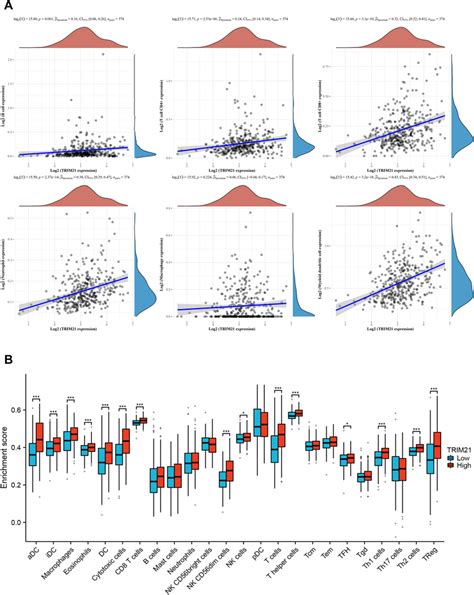 The Correlation Analysis Between The Infiltrating Immune Cells And The Download Scientific