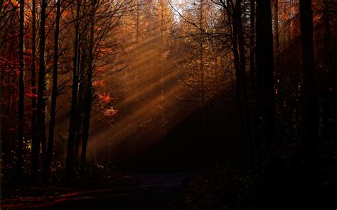 A Fall Equinox Meditation Descent Into The Sacred Dark Path Of She