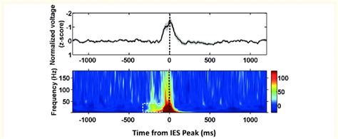 Spike Triggered Average During Correct Encoding Top Spike Centred Download Scientific Diagram