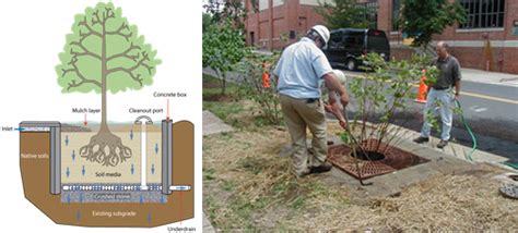 Low Impact Development Examples
