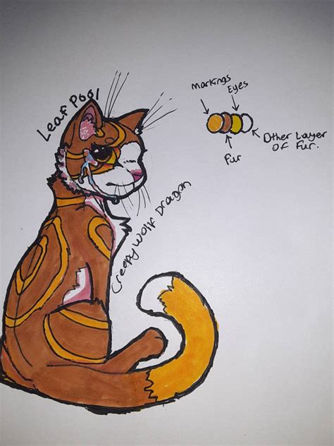 Leafpool Design By Creepywolfdragon On Deviantart