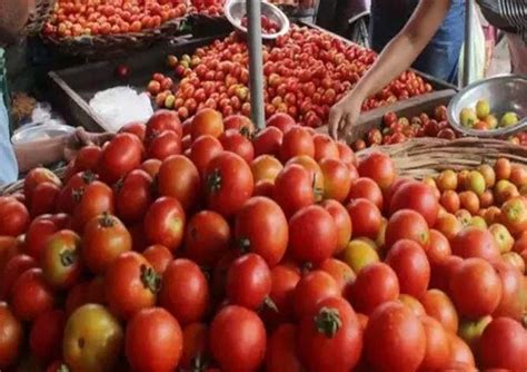 Tomatoes Continue To Break Back Of Middle Class Cost Whopping Rs 250