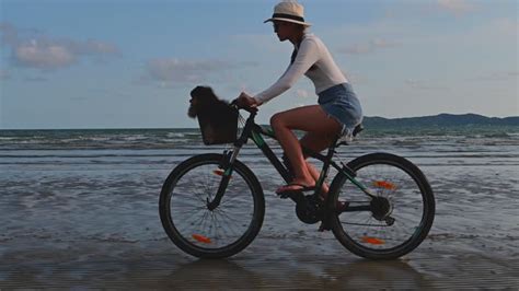9 732 Beach Flashing Stock Videos Footage And 4k Video Clips Getty Images