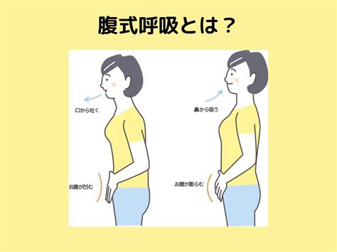 なぜ大切？腹式呼吸に期待できる5つの効果〜正しい方法を紹介！ いかなる時も心穏やかに！脳と体のコンディショニング情報ページ