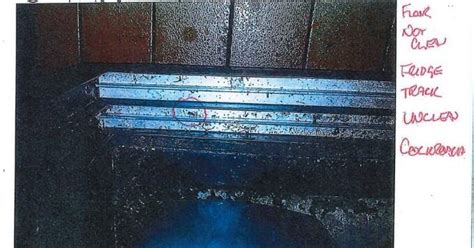 Cockroach Infested Restaurant Incurs Hefty Fines The Canberra Times