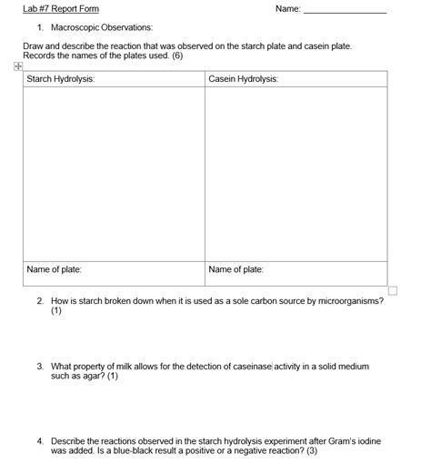 Solved Consider That You Have Performed This Experiment Chegg