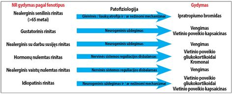 Lėtinis Rinitas Ar Visada Priežastis Tik Alergija Ligos Lt