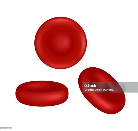 Ilustrasi Vektor Sel Darah Merah Atau Eritrosit Ilustrasi Stok Unduh