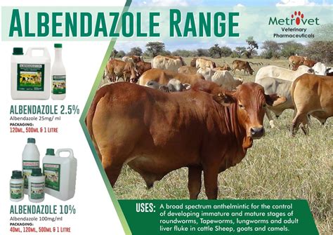 Metrovet Kenya Limited Roundworms Are The Most Common And