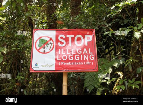 A Stop Illegal Logging Sign In A Wooded Area In Indonesia Stock Photo Alamy