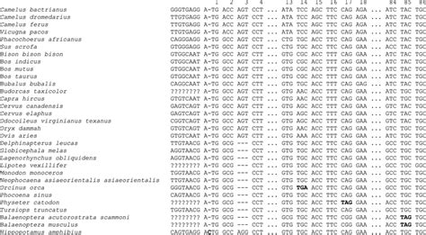 A Part Of The Nucleotide Sequence Alignment Of S100a3 Genes In Download Scientific Diagram