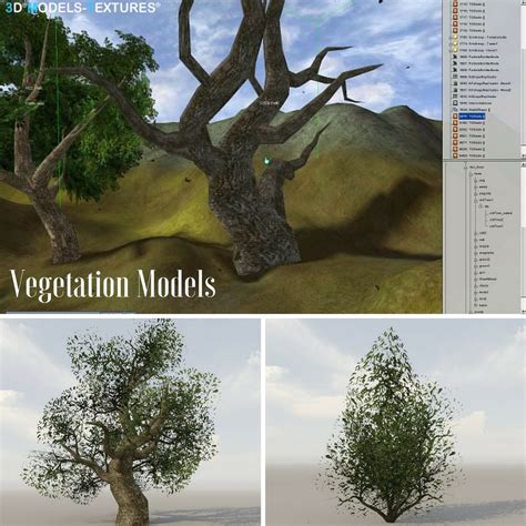 3d Model Vegetation Trees Turbosquid 1209485
