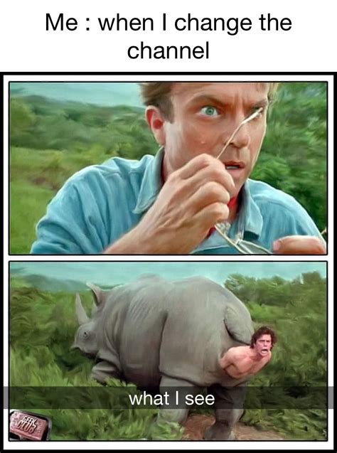 Meme Rhinocéros Ace Ventura