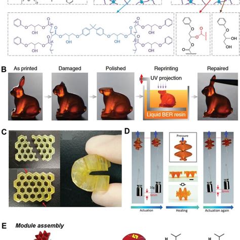 A Transesterification Reaction Involved In Dynamic Covalent Networks