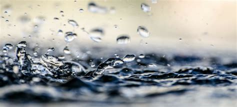 The Water Element A Complete Guide To Its Influence On The Water Signs