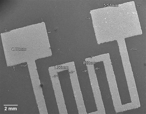 Sem Image Of The Screen Printed Carbon Electrode With Dimensions Of