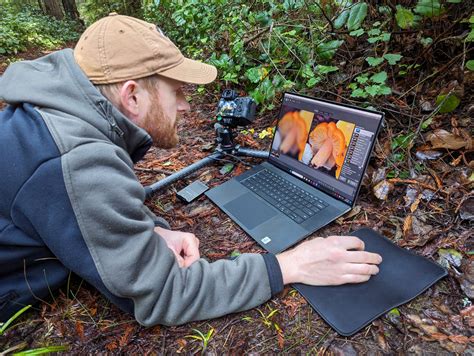 A Couple Photos From The Mushroom Alan Rockefeller