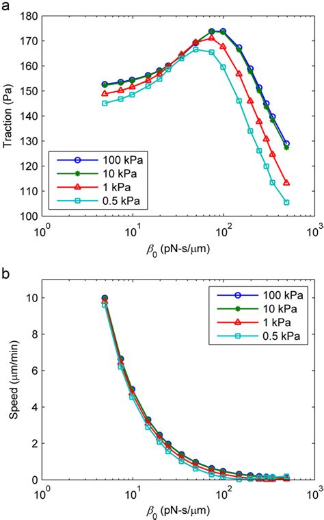 Figure 1 From Finite Element Analysis Of The Effects Of Focal Adhesion