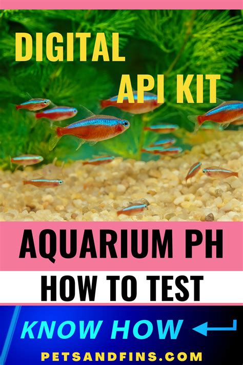 What Is Aquarium Ph Artofit