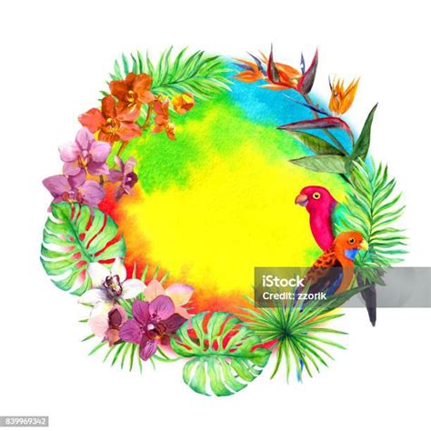 열 대 잎 이국적인 조류 난초 꽃 화 환 프레임 카드입니다 여름 수채화 0명에 대한 스톡 벡터 아트 및 기타 이미지 0명 개화기 공란 Istock