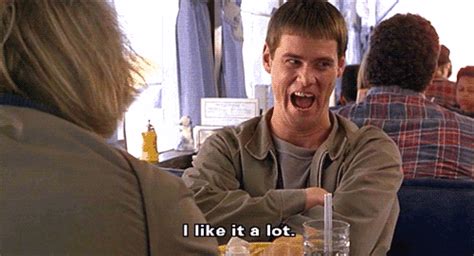 Dumb And Dumber Gifs Popsugar Entertainment