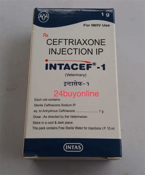 Intacef 1gm Injection Views Online India Price Uses Side Effects