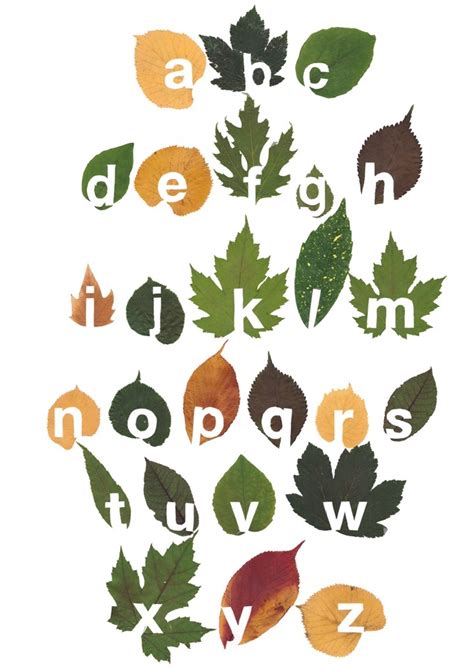Leaf Alphabet Ignantde