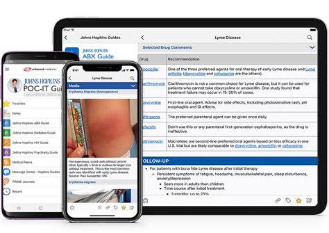 Prevotella Johns Hopkins Abx Guide