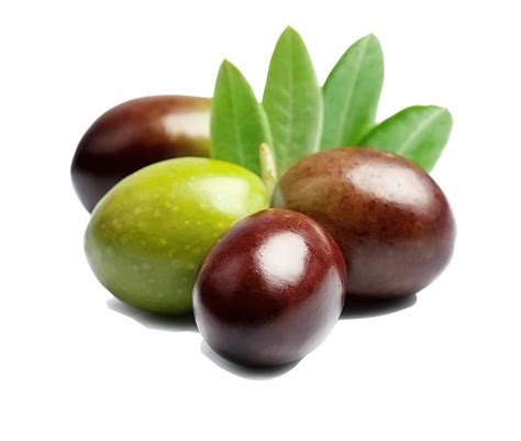 Home · Olio Domlouis