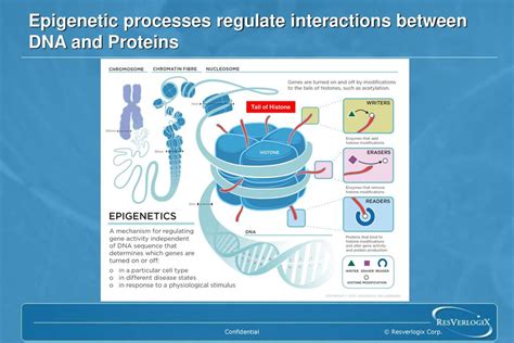 Status Report On Clinical Trials With Rvx 208 Ppt Download