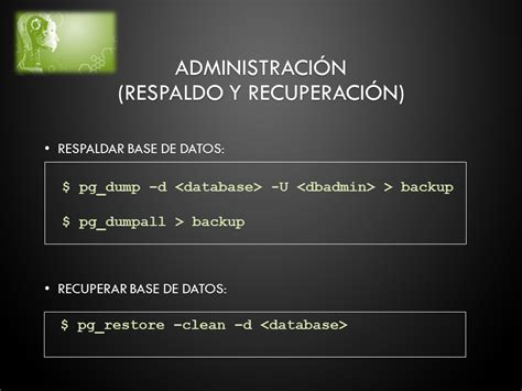 Ejecutando Un Procedimiento Almacenado Postgresql