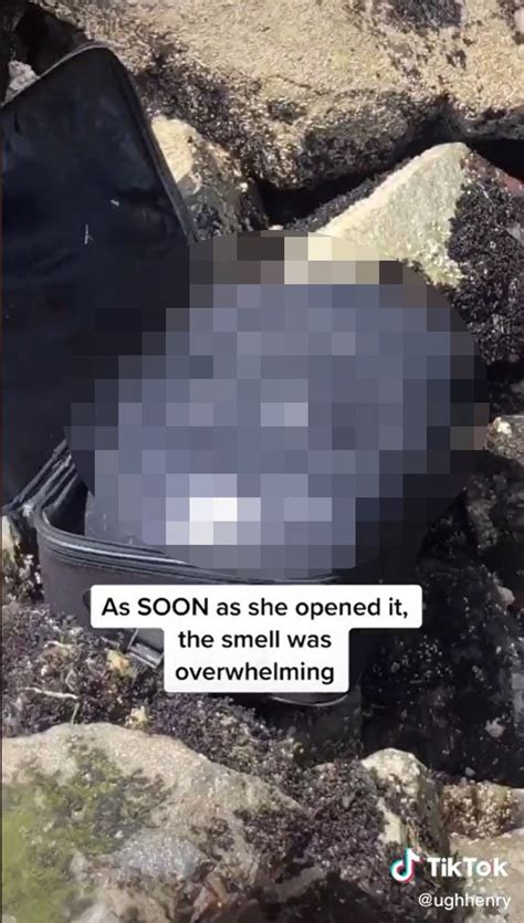 Teens Tiktok Showed Moment They Found Body In Discarded Suitcase