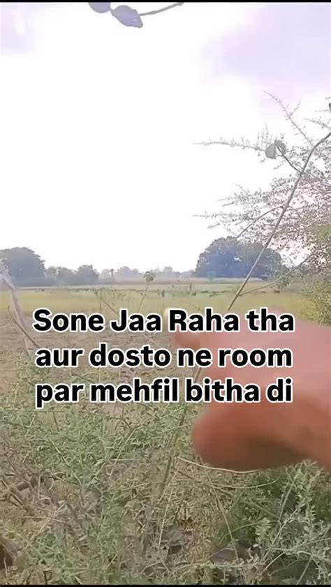 Oren Memes Orenmemes • Instagram Photos And Videos