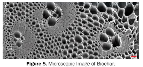 Biochar Production And Uses Open Access Journals